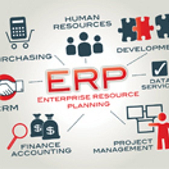 ENTERPRISE RESOURCE PLANNING (ERP) SOFTWARE - Continental Information ...